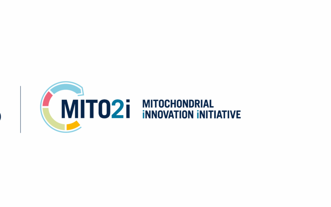 Logos | Mito2i