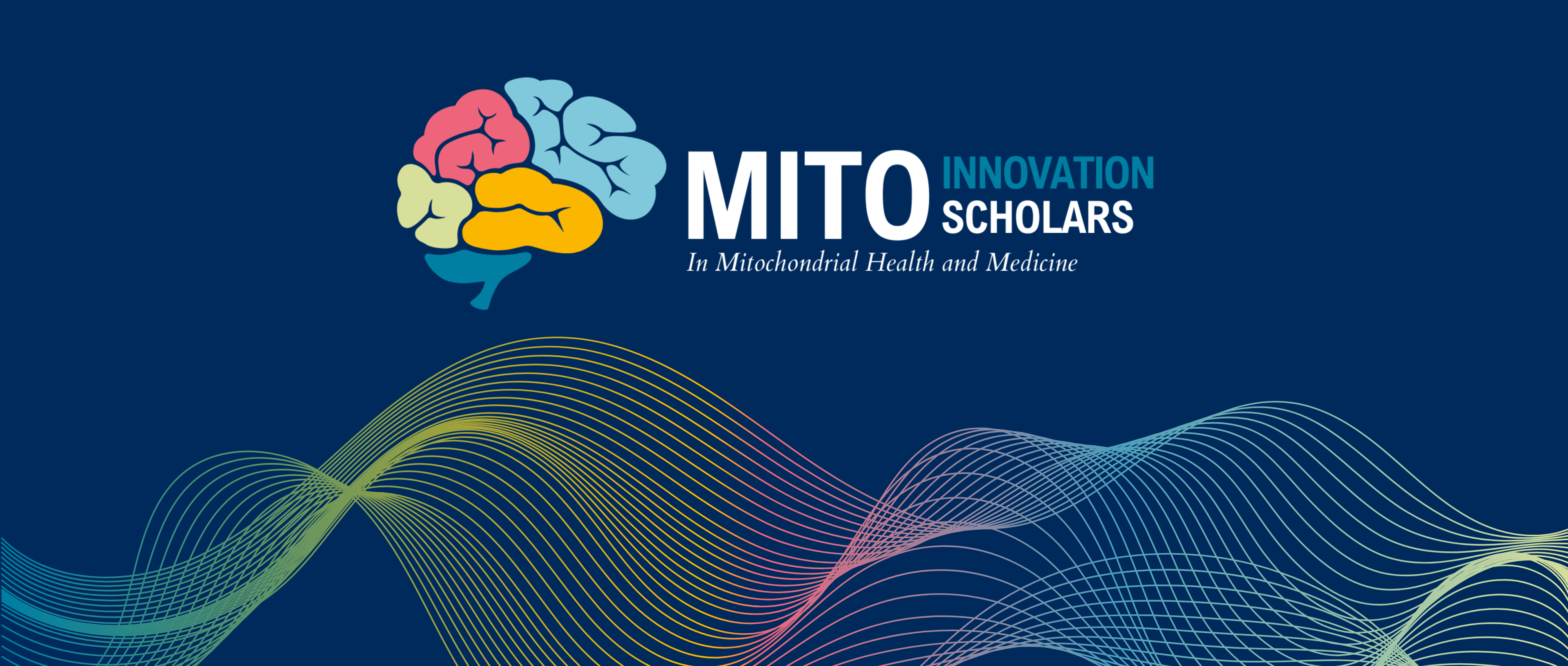 Updated Banners for Website Content | Mito2i