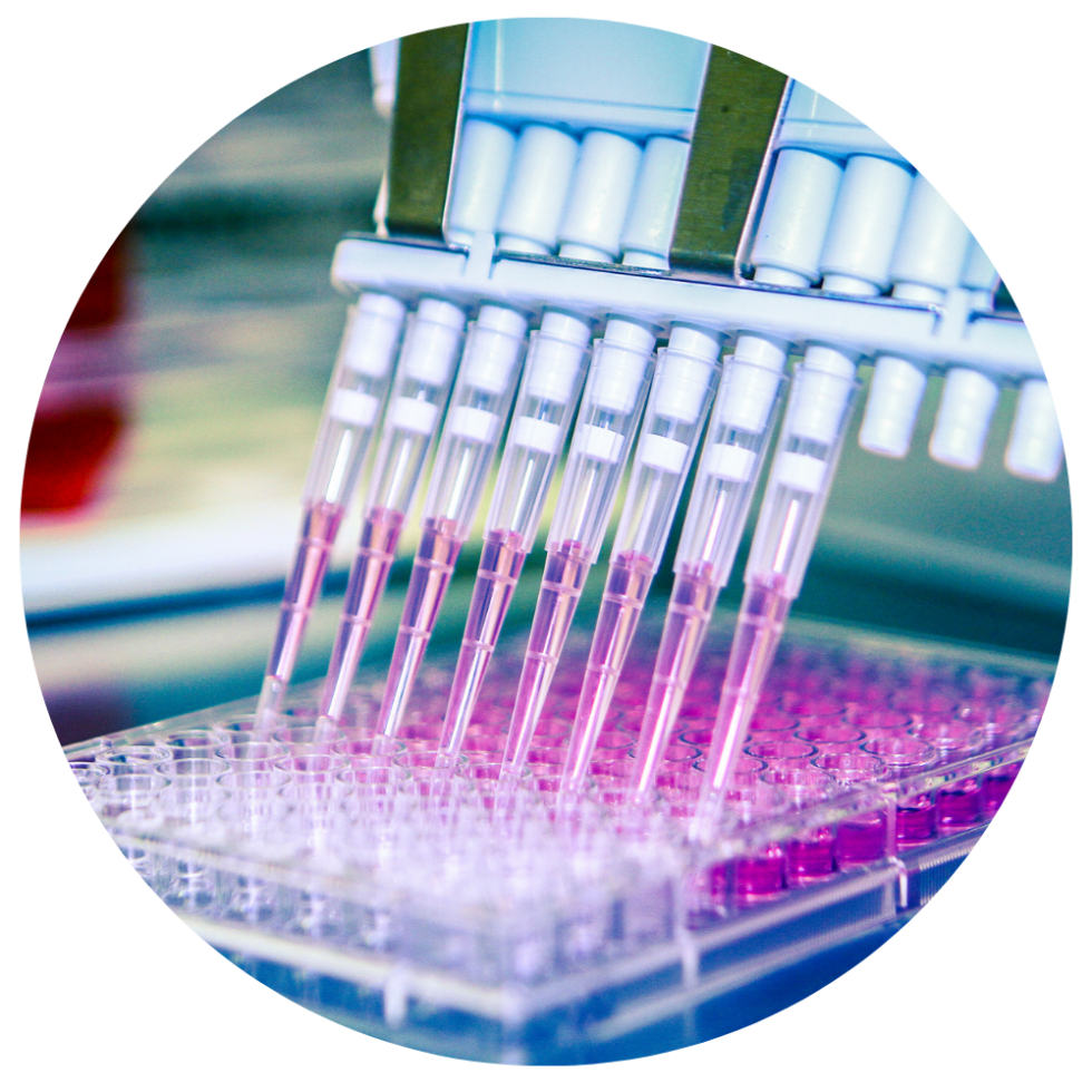 Funded Projects | Mito2i